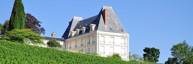 Dom Perignon Champagne - Aged Cork Wine And Spirits Merchants